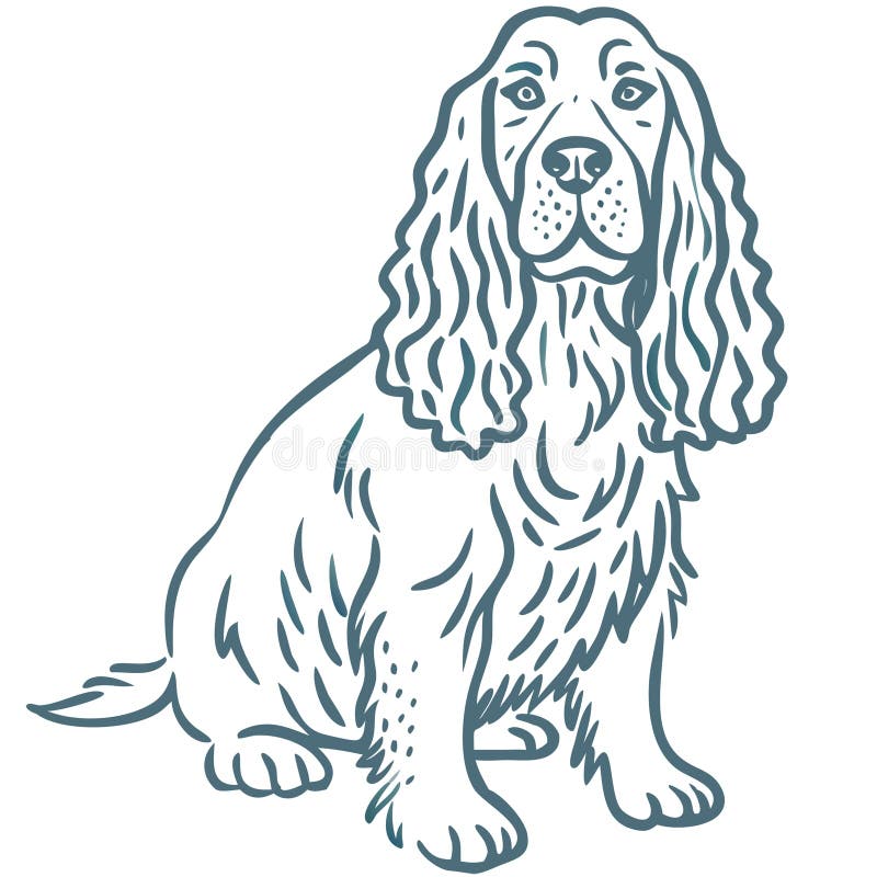 Charming Cocker Spaniel Dog Vector Illustration for Pet Lovers and ...