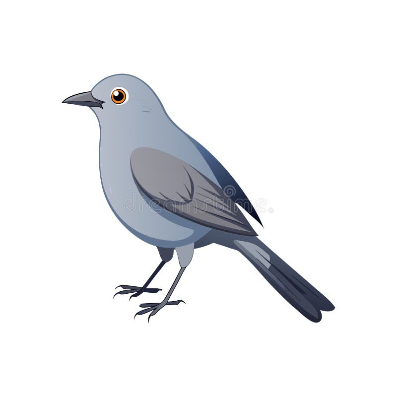 Charming Gray Catbird Artwork Stock Photo - Illustration of avian, beautiful: 366109558