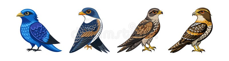 Charming Lesser Nighthawk Bird Artwork Stock Vector - Illustration of ...