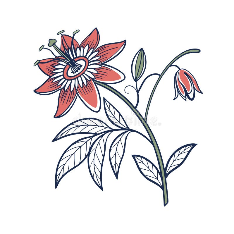 Charming Wizard Flower Illustration with Bold Outline Stock Image ...