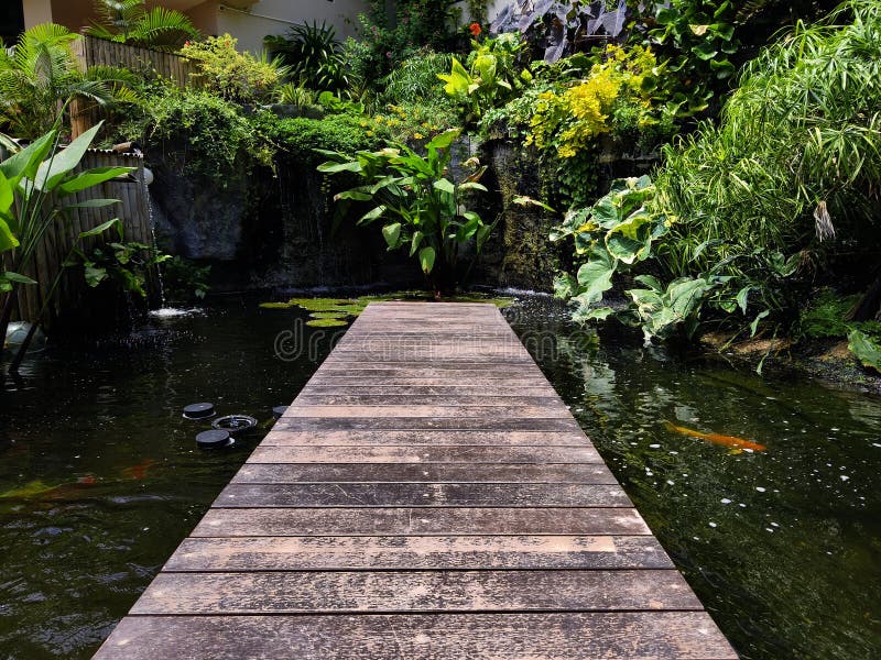 A Charming Wooden Bridge Spans a Tranquil Pond in a Serene Garden Stock ...
