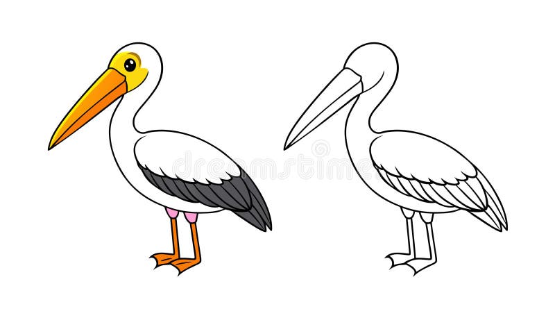 Charming Yellow-billed Stork Bird Design Stock Illustration ...