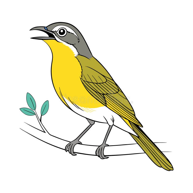 Charming Yellow-breasted Chat Bird Artwork Stock Illustration ...