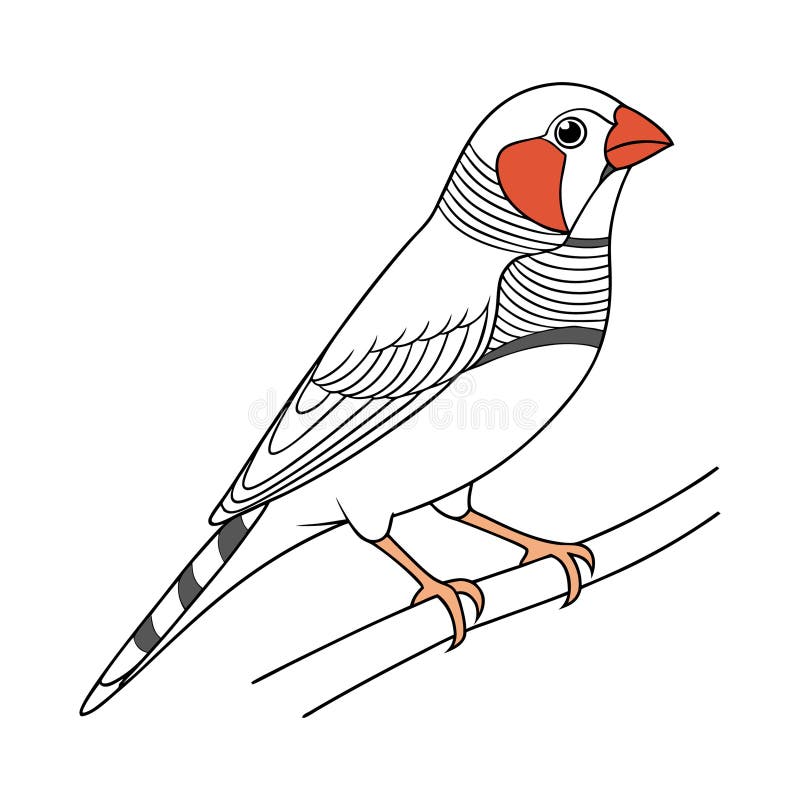 Charming Zebra Finch Bird Artwork Stock Illustration - Illustration of ...