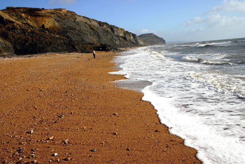Charmouth Beach stock image. Image of mudstone, england - 488169