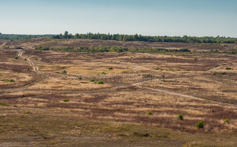 Charneca imagem de stock. Imagem de etapa, campo, outono - 33640005