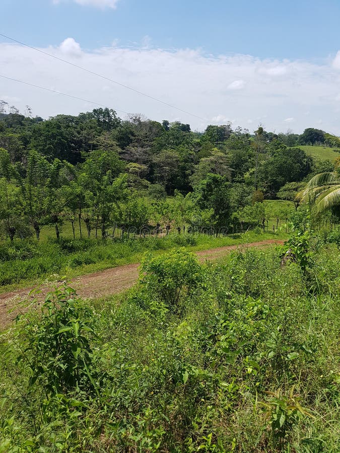 Charral stock photo. Image of vivimos, mundo, debemos - 94456514