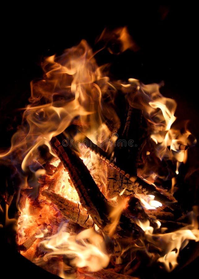 Charred and fire three stock image. Image of warmth - 127818105
