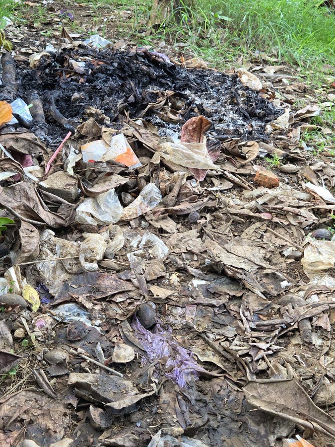 Charred Fire Pit with Smoldering Ashes and Burnt Leaf Debris on Dusty ...