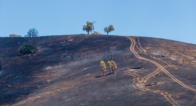 Charred Hills after a Planned Burn Stock Photo - Image of bushfire ...