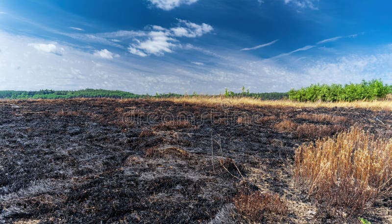 Charred Landscape Reveals Aftermath of Fire in Fields and Meadows ...