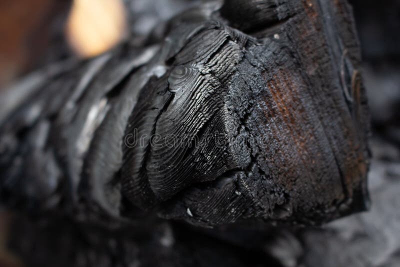 Charred log stock photo. Image of closeup, pile, outside - 166690158