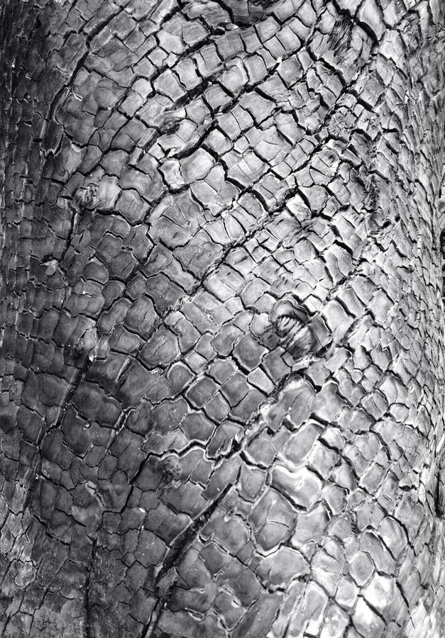 Charred log texture stock image. Image of charred, textured - 48178777
