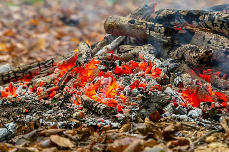 Charred Logs and Glowing Embers Smoldering in an Outdoor Fire Pit ...