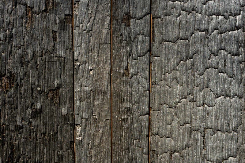 Charred Oak Barrel Texture stock image. Image of angle - 175722997
