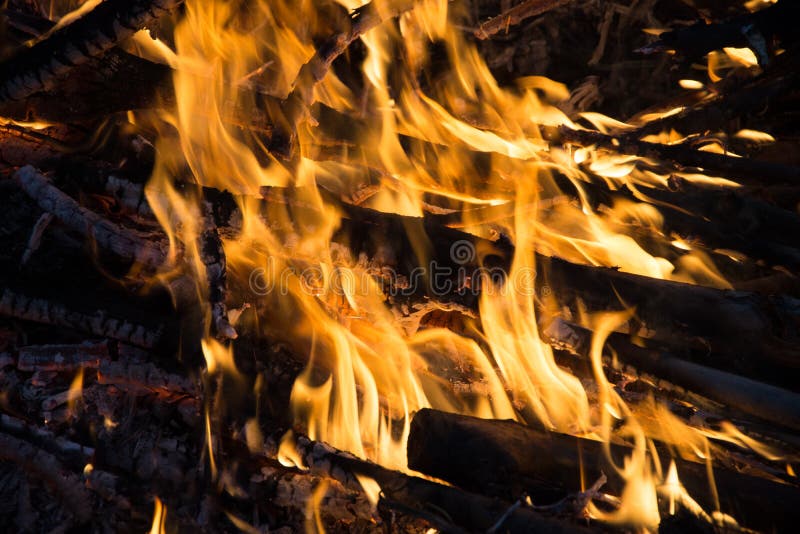 Tongues of Flame on Tree Branches Stock Photo - Image of fire, glowing ...