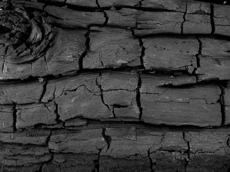 Charred Wood 1 stock photo. Image of lumber, charred, tree - 520646