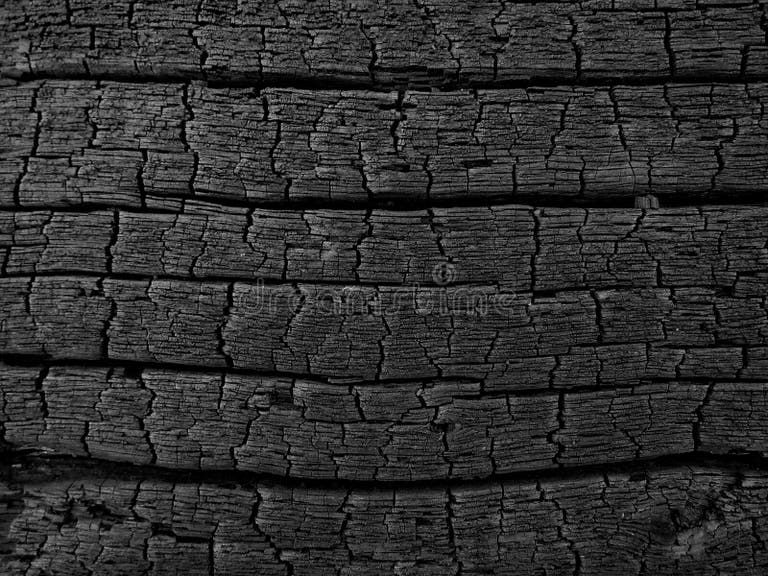 Charred Wood 2 stock image. Image of tree, charcoal, soot - 520645
