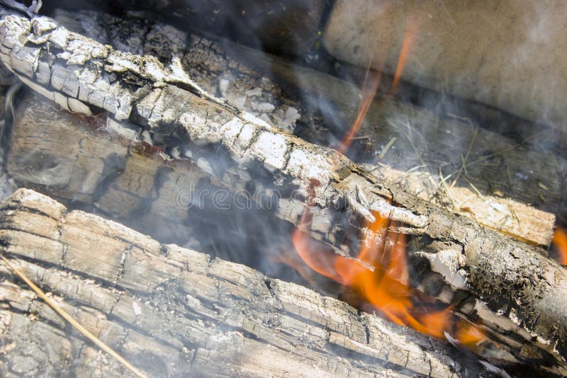 Charred Wood in the Fire is Burning Stock Photo - Image of fire, heat ...