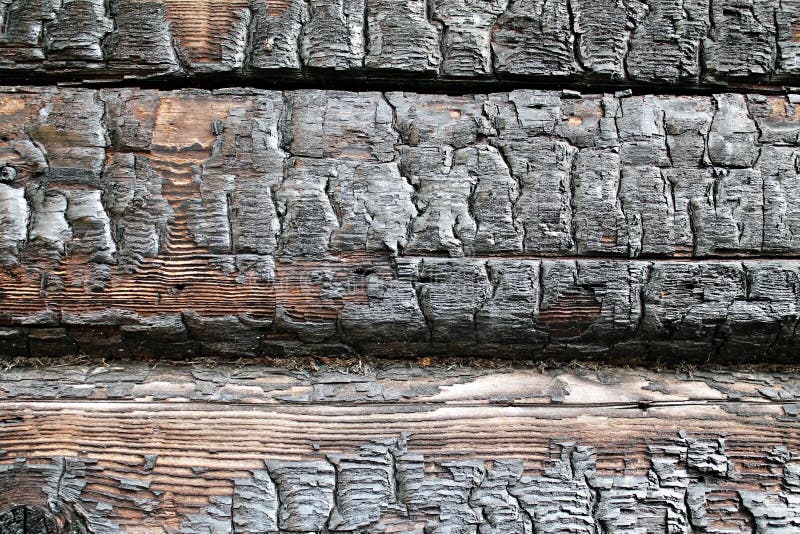 Charred wood macro photo stock photo. Image of dark, board - 95127832