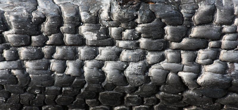 The Charred Wood. Panorama. Stock Image - Image of result, charcoal ...