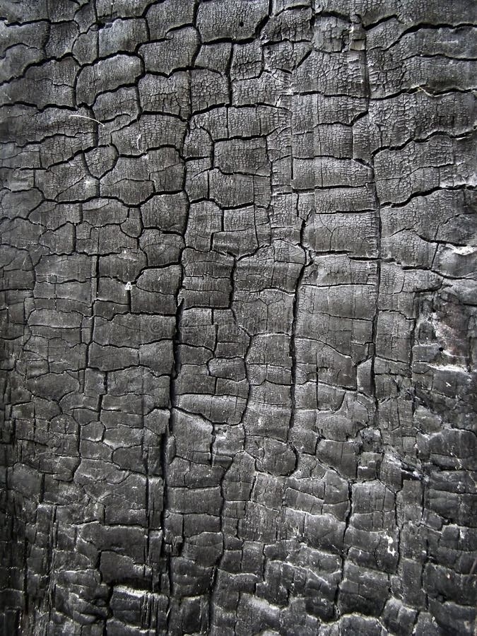 Charred wood in ash. stock image. Image of burn, remains - 41033447