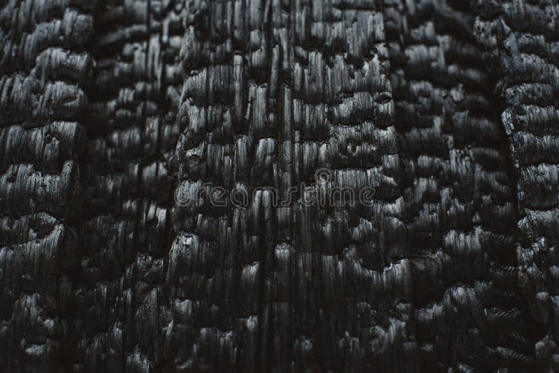 Charred wooden wall stock image. Image of burnt, damaged - 167061083