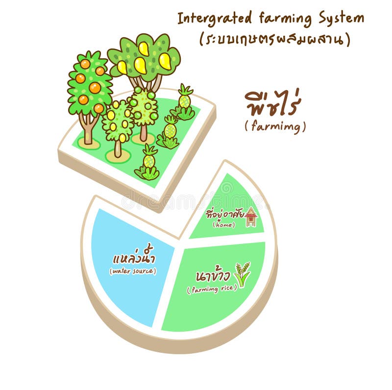 Chart for Integrated Farming System. Stock Illustration - Illustration ...