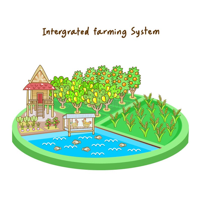 Chart for Integrated Farming System. Stock Illustration - Illustration ...