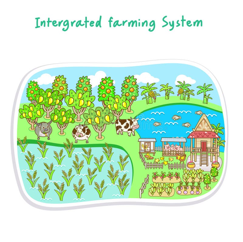 Chart for Integrated Farming System. Stock Illustration - Illustration ...