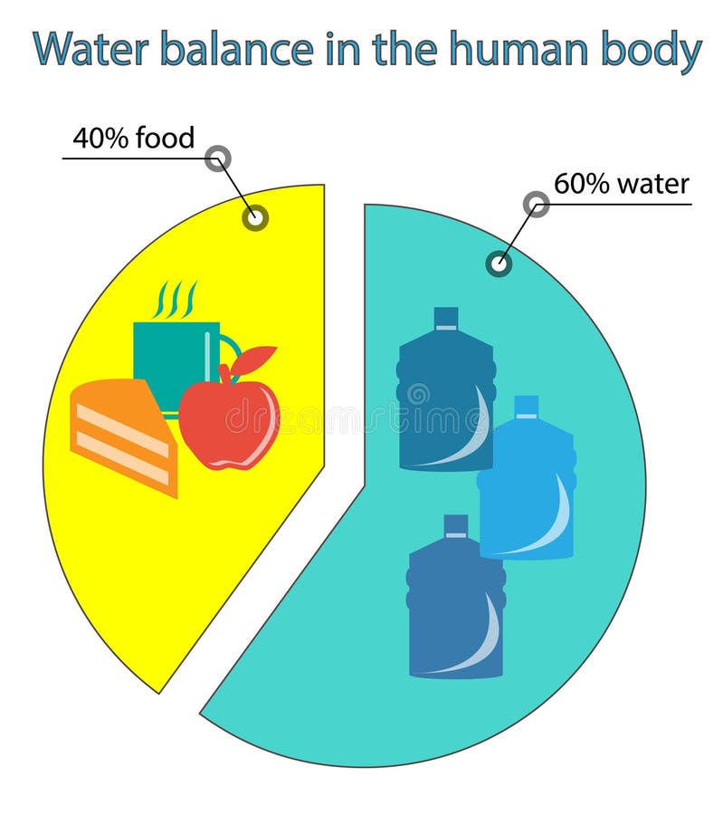 Chart stock vector. Illustration of presentation, number - 62142316