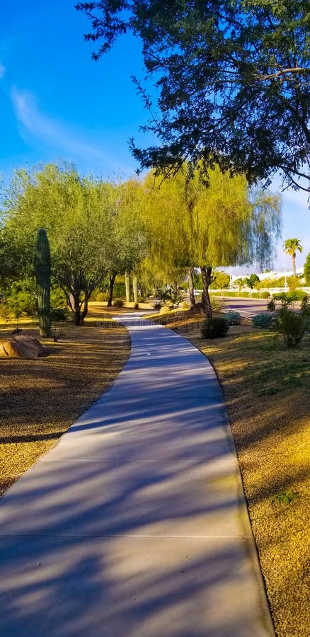 Chart your path stock photo. Image of blue, path, chart - 170503408