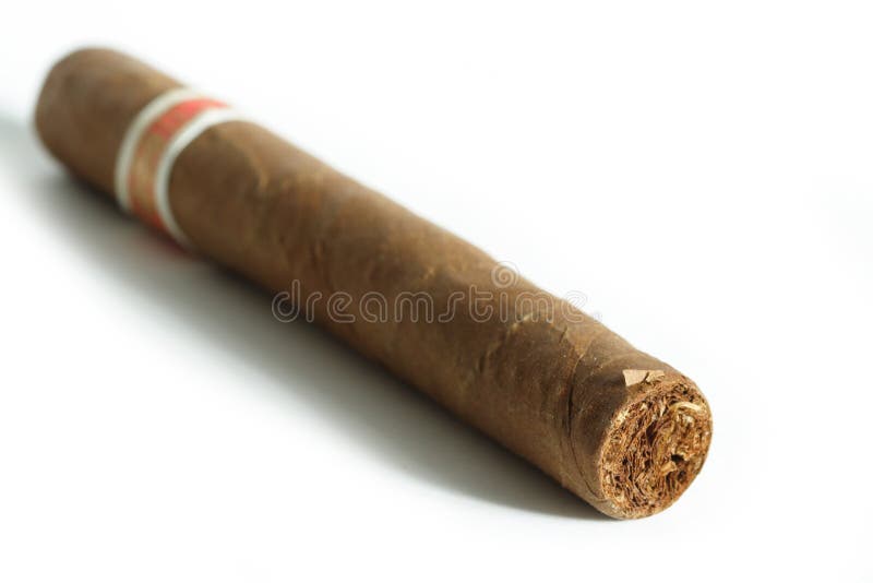 Charuto isolado no branco foto de stock. Imagem de profundidade - 5413174