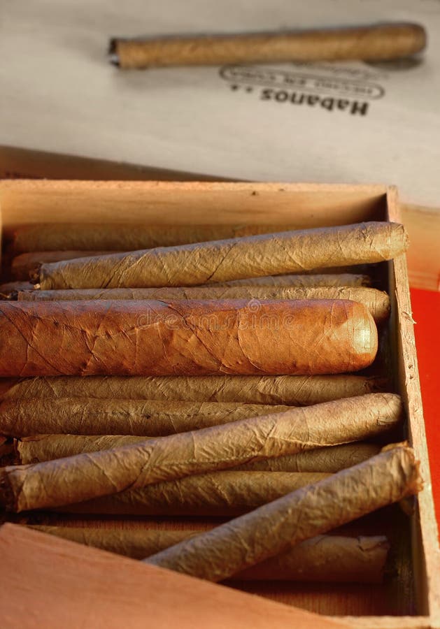 Charutos cubanos foto de stock. Imagem de detalhe, opulência - 13457788