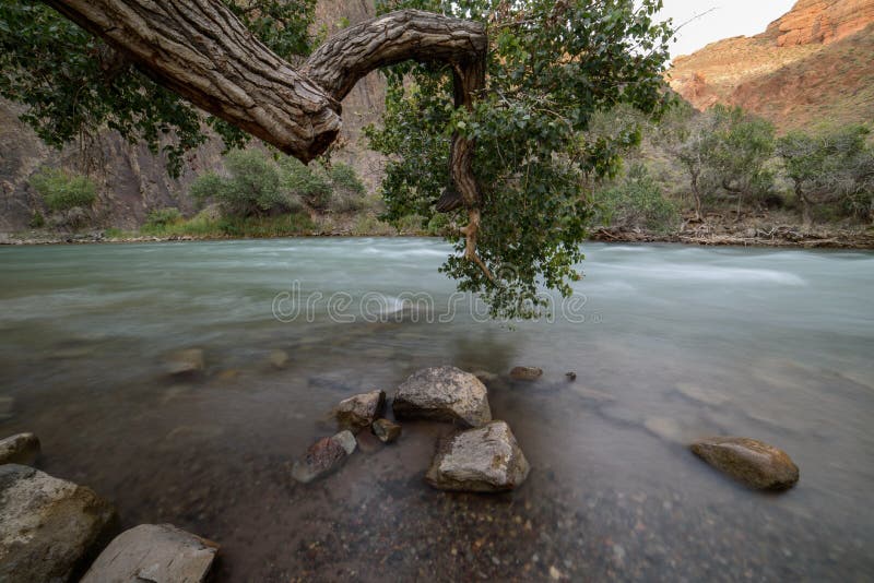 Charyn River in the Charyn Canyon. Stock Photo - Image of kazakhstan ...