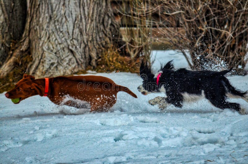 The Chase stock photo. Image of hills, clouds, tourism - 110649128