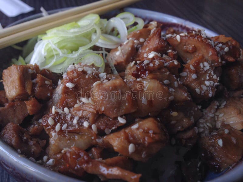 Chashu don stock image. Image of traditional, chashu - 50569559