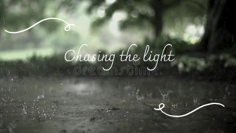 Chasing the Light: Rainy Day Stock Footage - Video of tranquil, bokeh ...