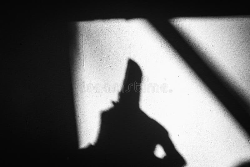 Chasing the light stock photo. Image of light, geometry - 229631156