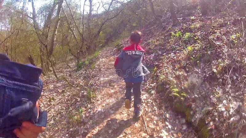 Chasing and Running after Boy in the Forest Stock Footage - Video of ...