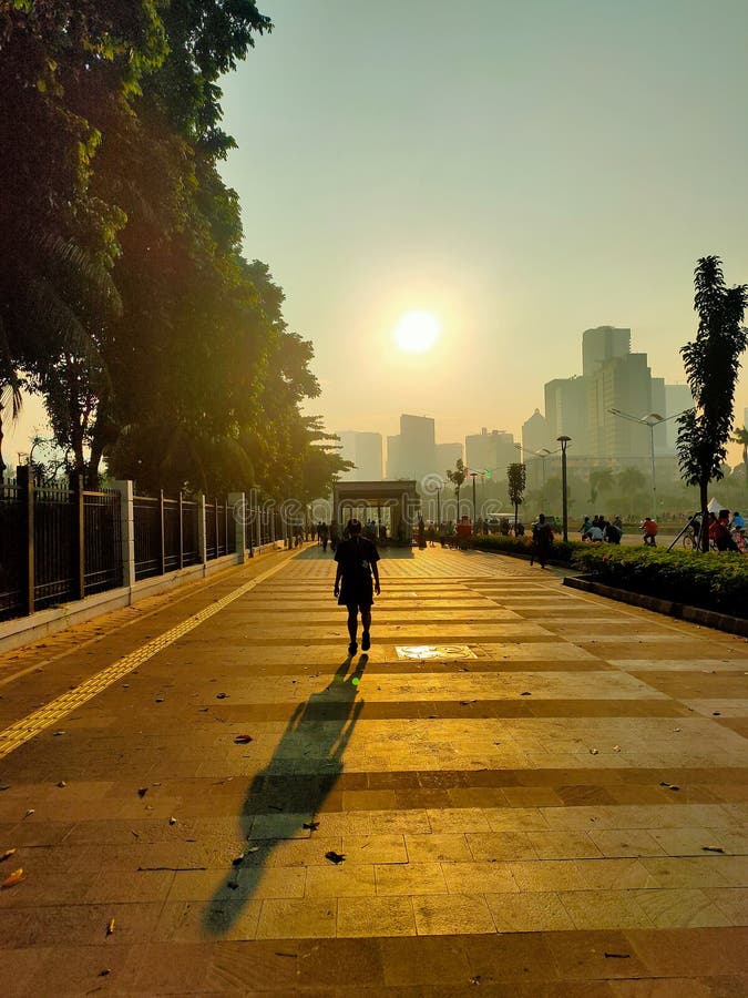 Chasing the sun stock image. Image of city, night, autumn - 222548055