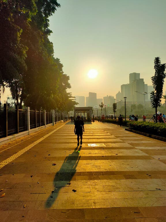 Chasing the sun stock image. Image of city, night, autumn - 222548055