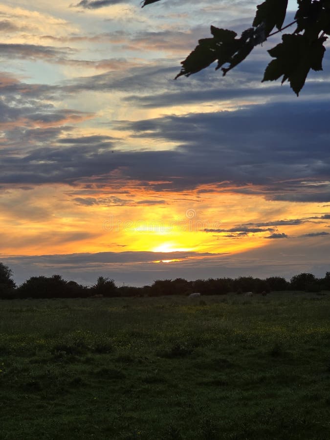 Chasing sunsets with me stock image. Image of divine - 363726627