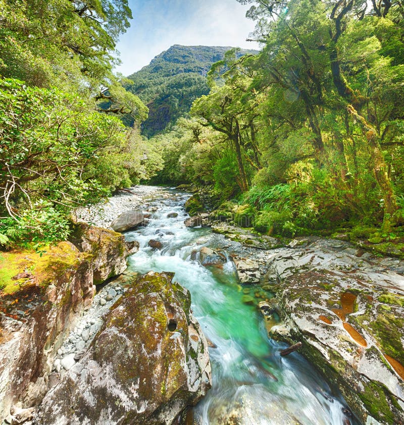 The Chasm stock photo. Image of stream, milford, fiord - 26339264