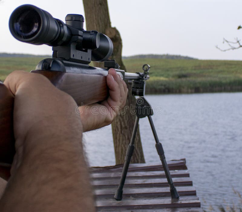 Chasse Au Chasseur Avec Fusil. Pointer Et Tirer Photo stock - Image du ...