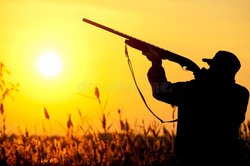 Chasseur photo stock. Image du loisirs, gibier, arme - 44771266