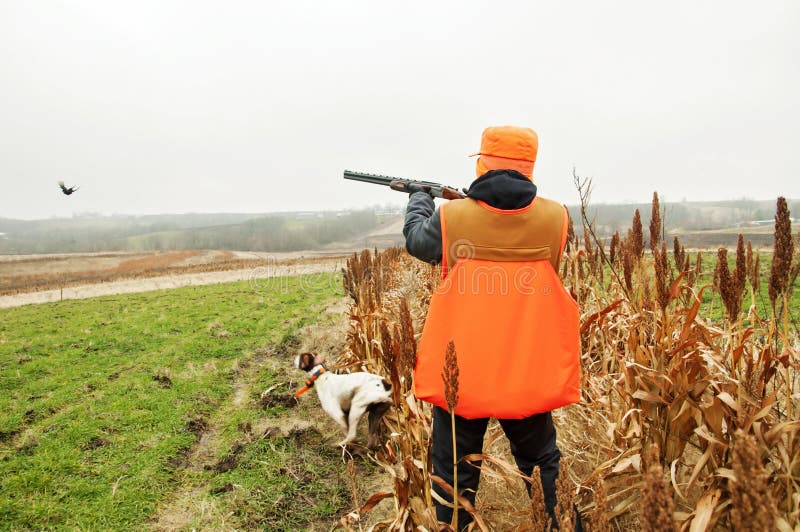 Chasseur d'oiseau II image stock. Image du oiseau, chasseur - 1936843