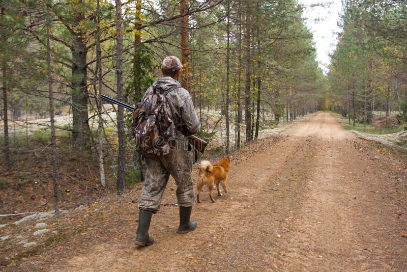 Chasseur Avec Le Chien Marchant Sur La Route Photo stock - Image du ...