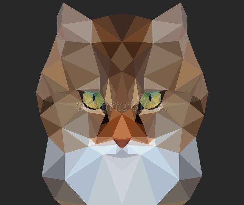 Chat des triangles illustration stock. Illustration du coloré - 44425656