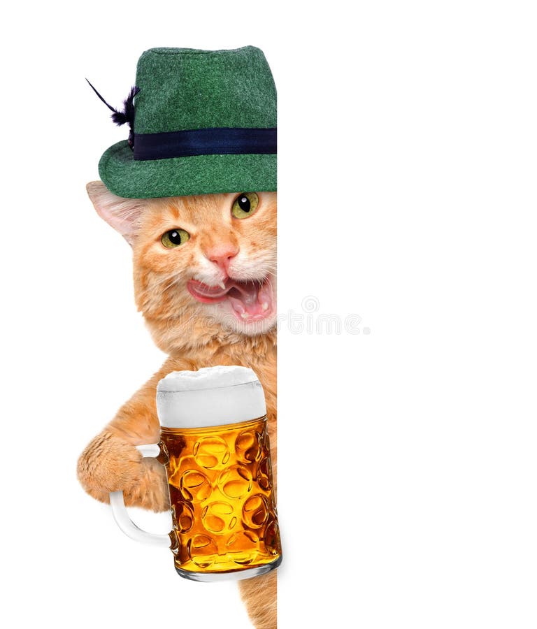 Le Chat Boit La Bière Et La Salutation Quelqu'un Image stock - Image du ...